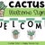 Cactus Plant Themed Classroom Decor Calendar and Weather Classroom ...
