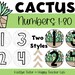 Cactus Plant Themed Student Numbers 1-30 - Etsy