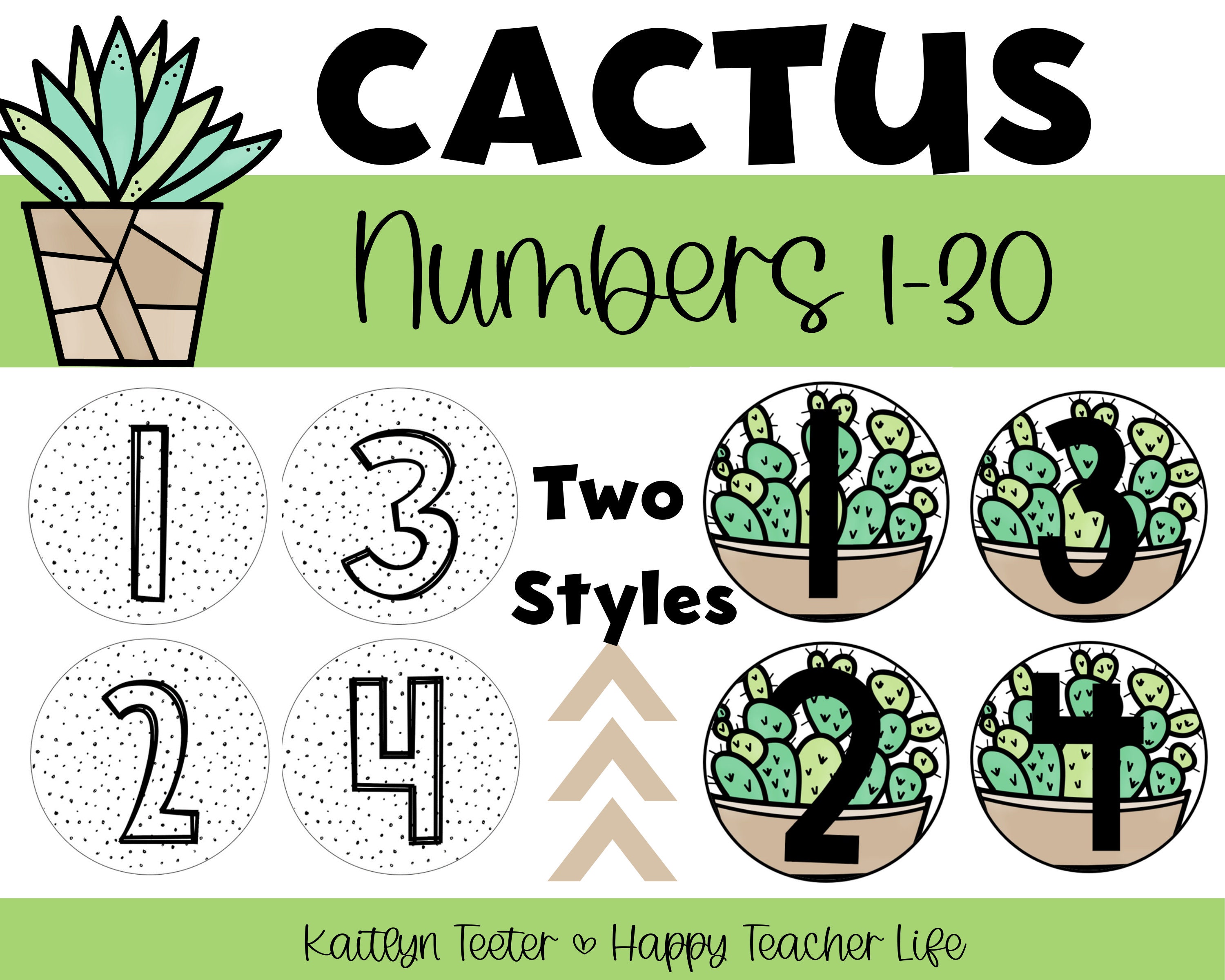 Cactus Plant Themed Student Numbers 1-30 - Etsy
