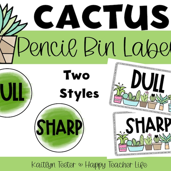 Pencil Cactus - Etsy