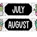 Cactus Plant Themed Classroom Decor Calendar and Weather | Classroom ...