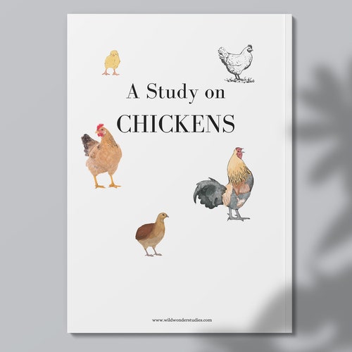 Chicken Study Printable Homeschool Worksheets Nature Study - Etsy