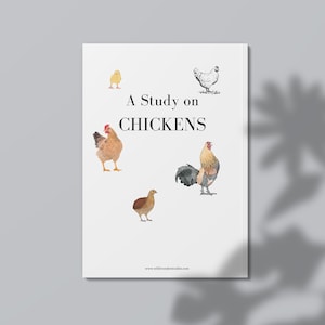 Chicken Study Printable Homeschool Worksheets Nature Study - Etsy