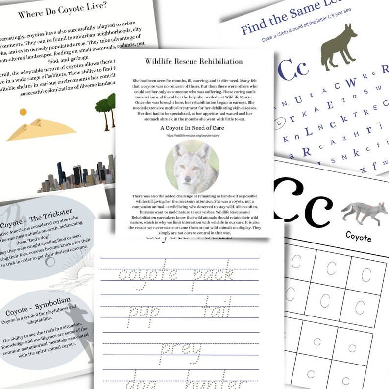 Animal Study Coyote Charlotte Mason | Homeschool Educational Worksheet ...