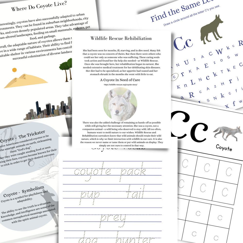 Animal Study Coyote Charlotte Mason | Homeschool Educational Worksheet ...