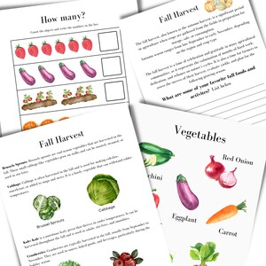 Farm Unit Study Printable - Homeschool Digital Resource - Chicken Study ...
