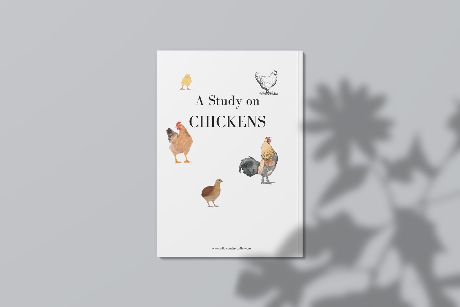 Printed Chicken Study Homeschool Worksheets Nature Study Charlotte ...