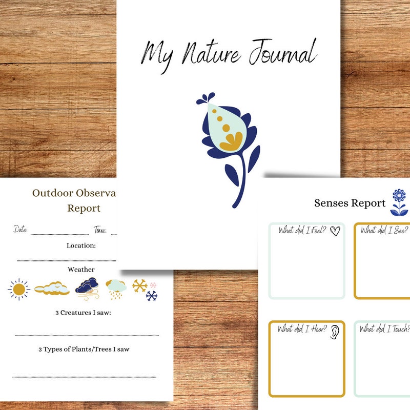 WildWonderStudies - Etsy