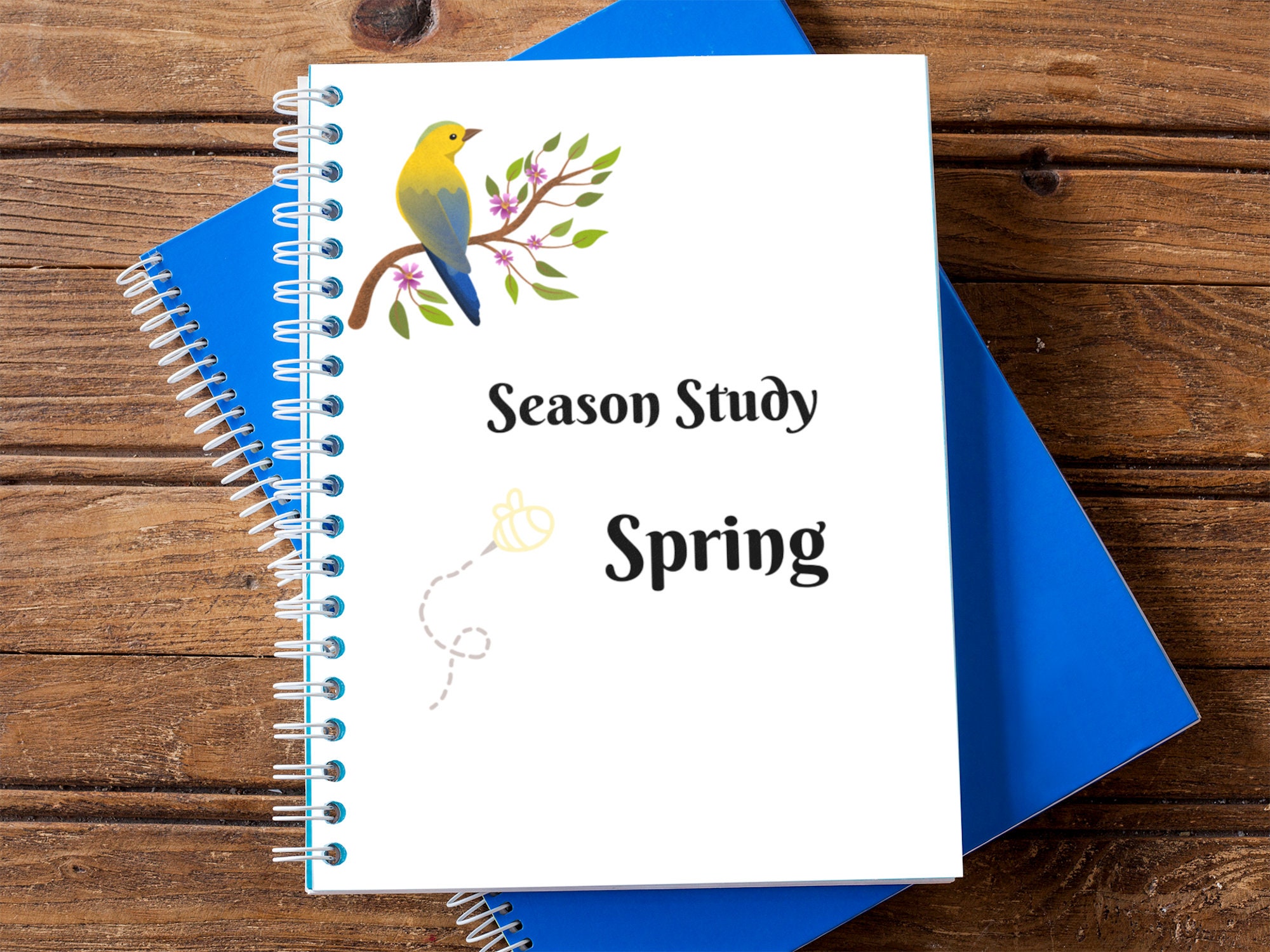 Spring Activity Printable Seasona Study Homeschool Worksheets - Nature ...