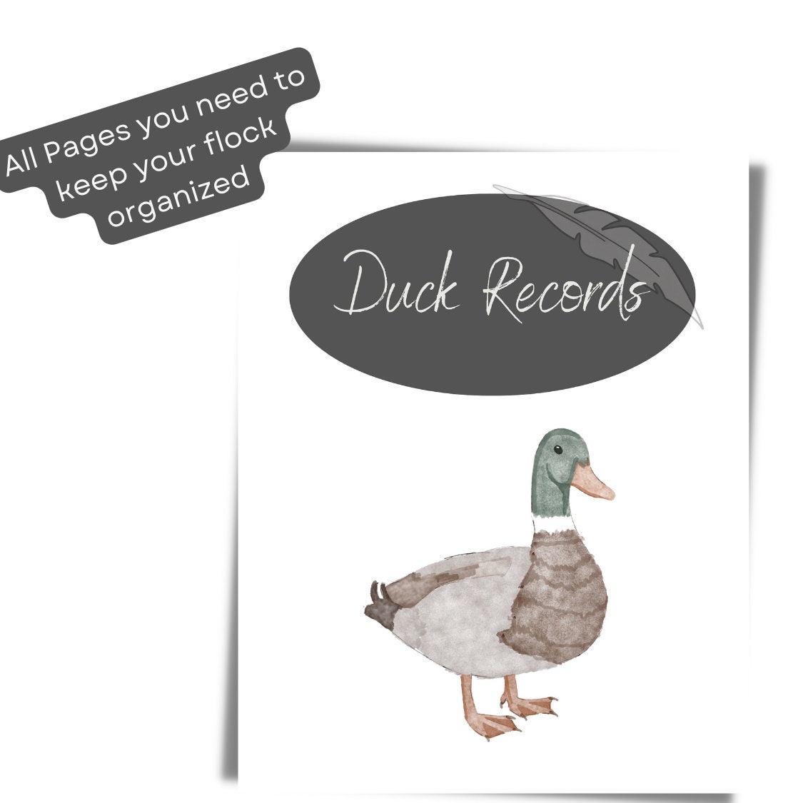 Duck Homestead Planner - Record Keeping for Ducks - Printable - Flock ...