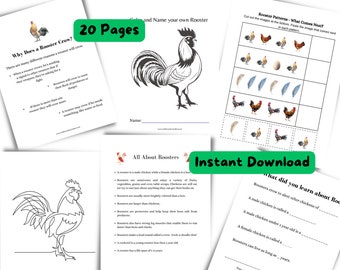 Rooster Chicken Study Printable Homeschool Worksheets Nature Study ...