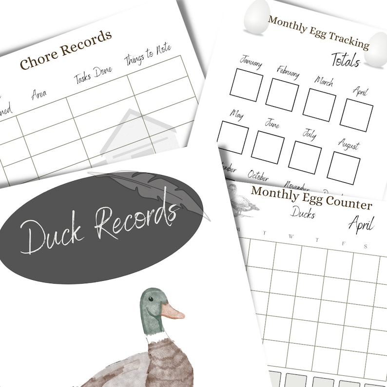 Duck Homestead Planner - Record Keeping for Ducks - Printable - Flock ...