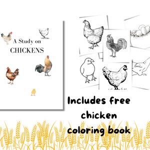 Chicken Study Printable - Homeschool Worksheets - Nature Study ...