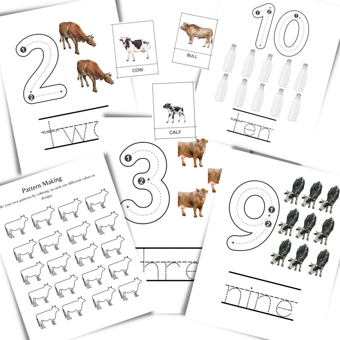Physical Homeschool Printable Cow Study Animals Educational Resource ...