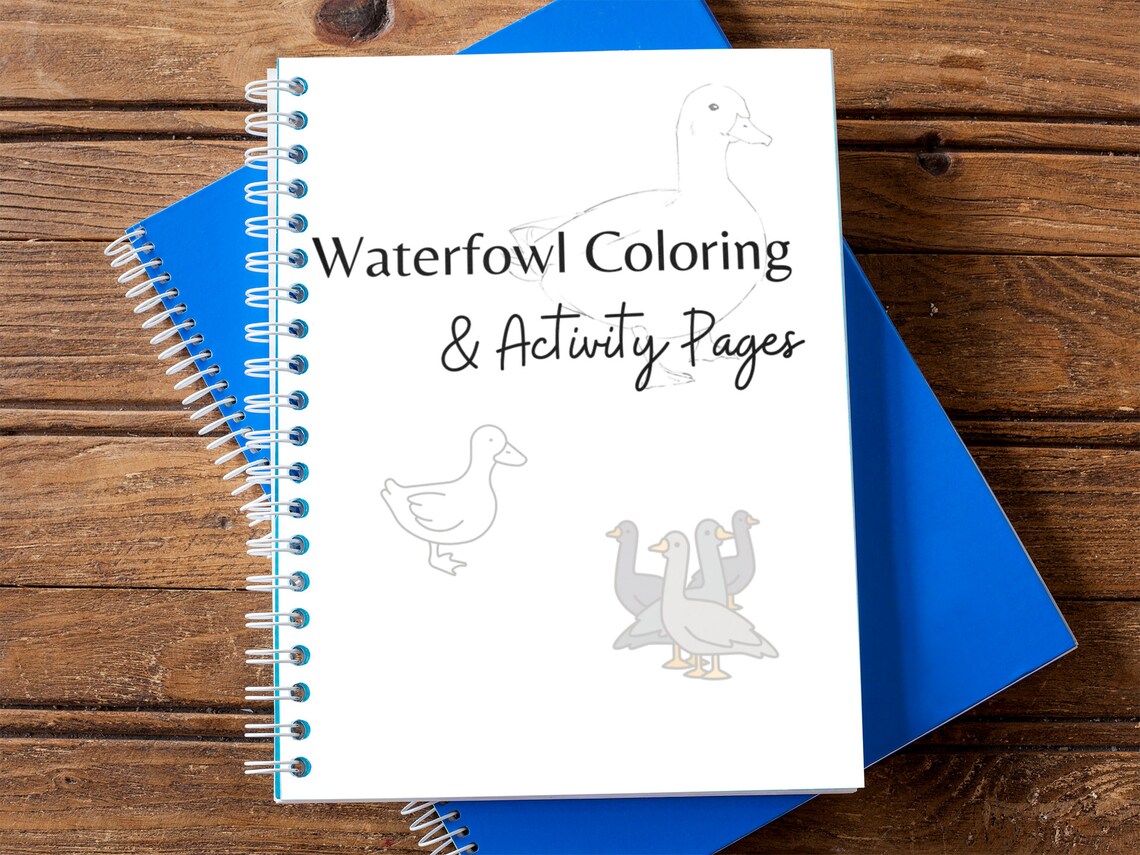 Homeschool Printable Activity Preschool Learning Lesson Coloring Book ...