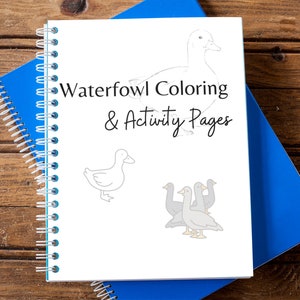 Homeschool Printable Activity | Preschool | Learning | Lesson ...