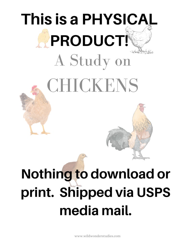 Printed Chicken Study Homeschool Worksheets Nature Study Charlotte ...