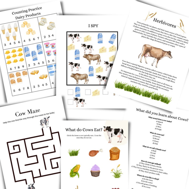 Cow Study Animal Science Study Homeschool Educational Resource ...