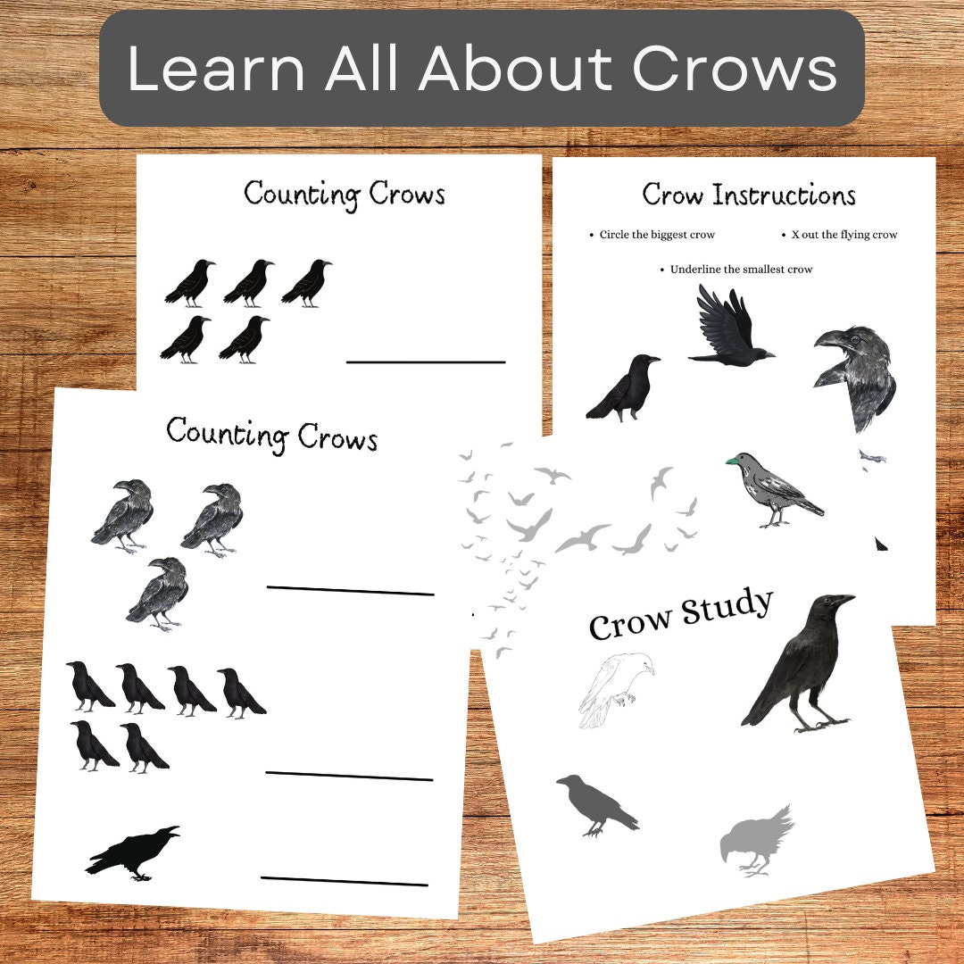 Animal Unit Study Crow Learning Homeschool Curriculum Study Bundle ...