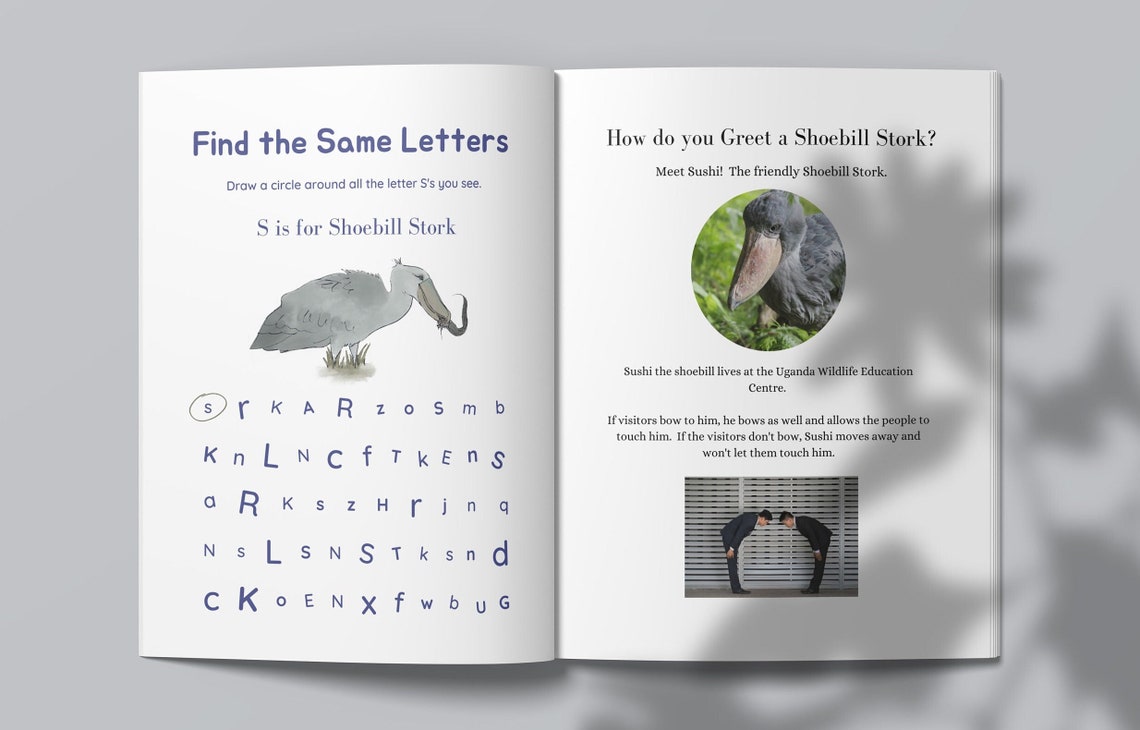 Shoebill Stork Study Printable - Homeschool Worksheets - Nature Study ...