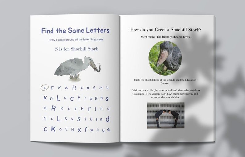 Shoebill Stork Study Printable - Homeschool Worksheets - Nature Study ...