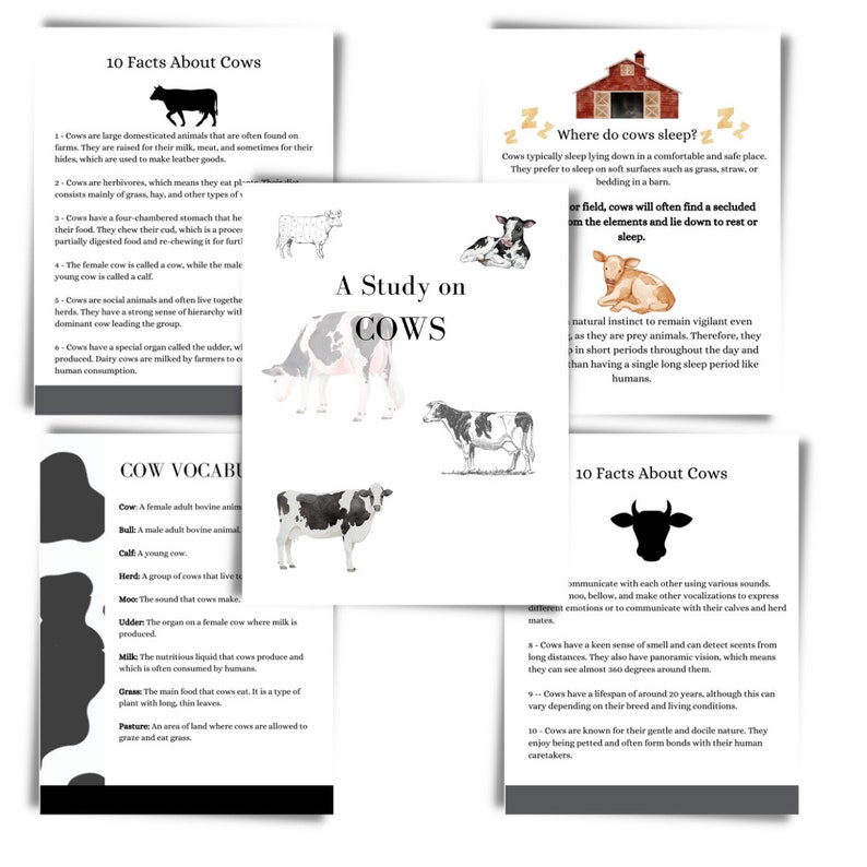 Cow Study Animal Science Study Homeschool Educational Resource ...