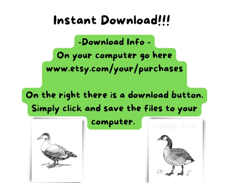 Homeschool Printable Activity Preschool Learning Lesson Coloring Book ...