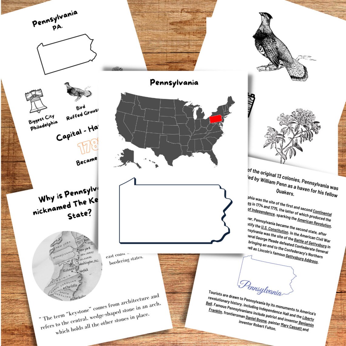 State Learning Study Pennsylvania Homeschool Study Printable ...