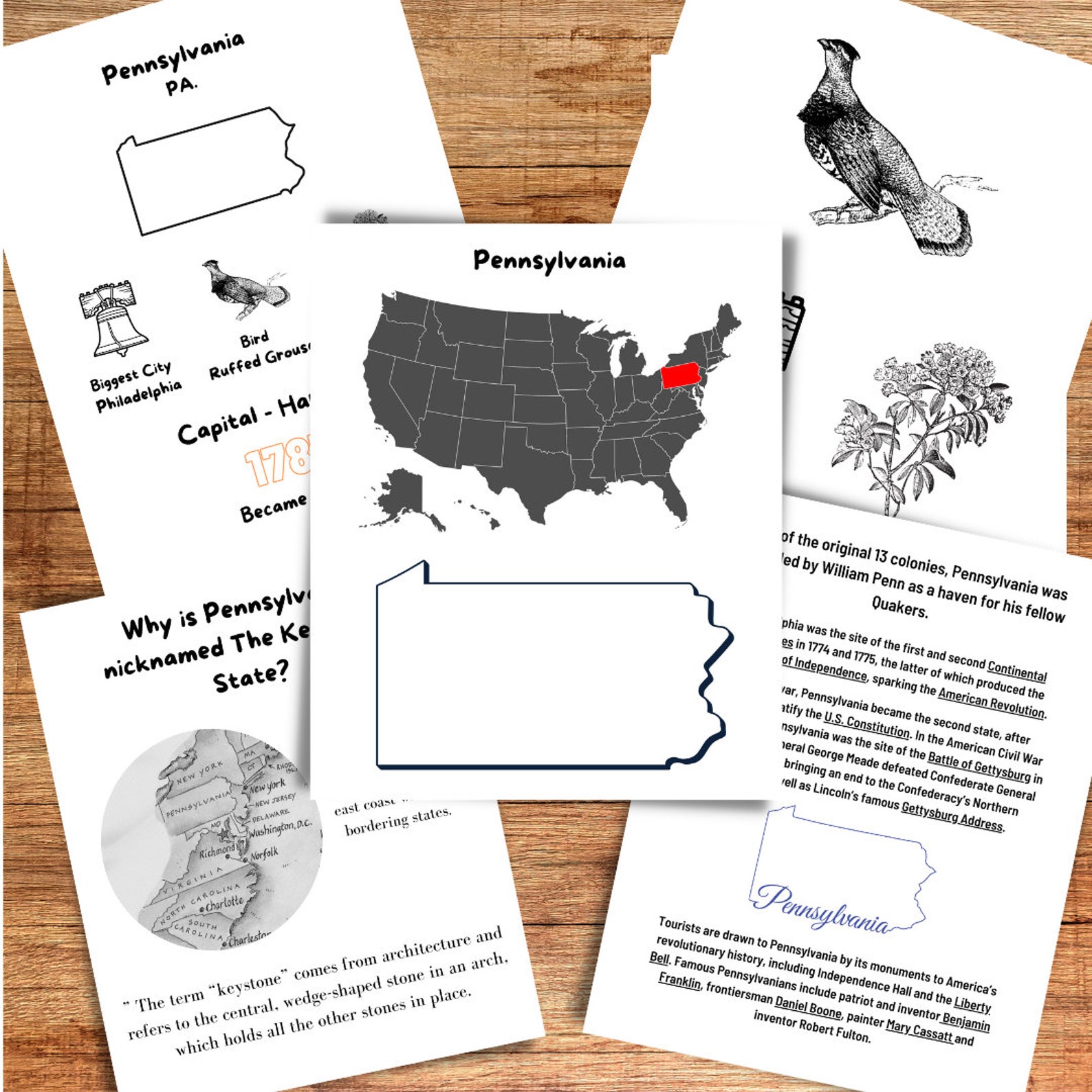State Learning Study Pennsylvania Homeschool Study Printable ...