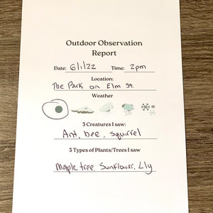 Nature Observations Writing Prompt for Outdoor Journaling, Printable ...