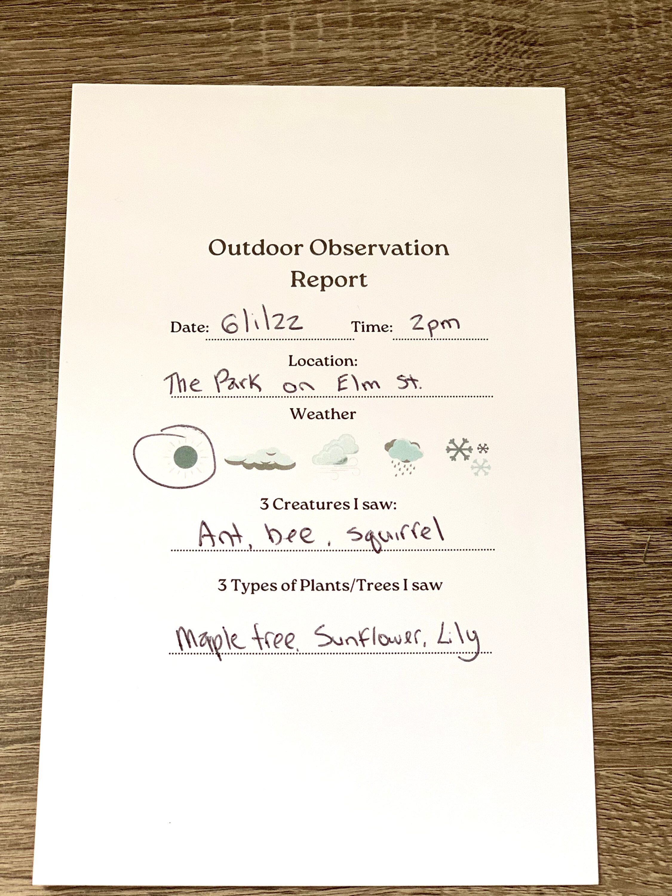 Nature Observations Writing Prompt for Outdoor Journaling, Printable ...