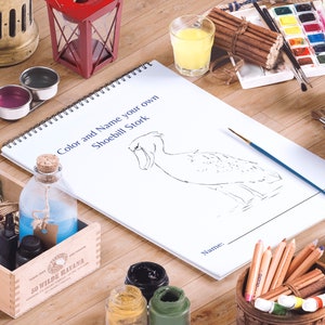 Shoebill Stork Study Printable - Homeschool Worksheets - Nature Study ...