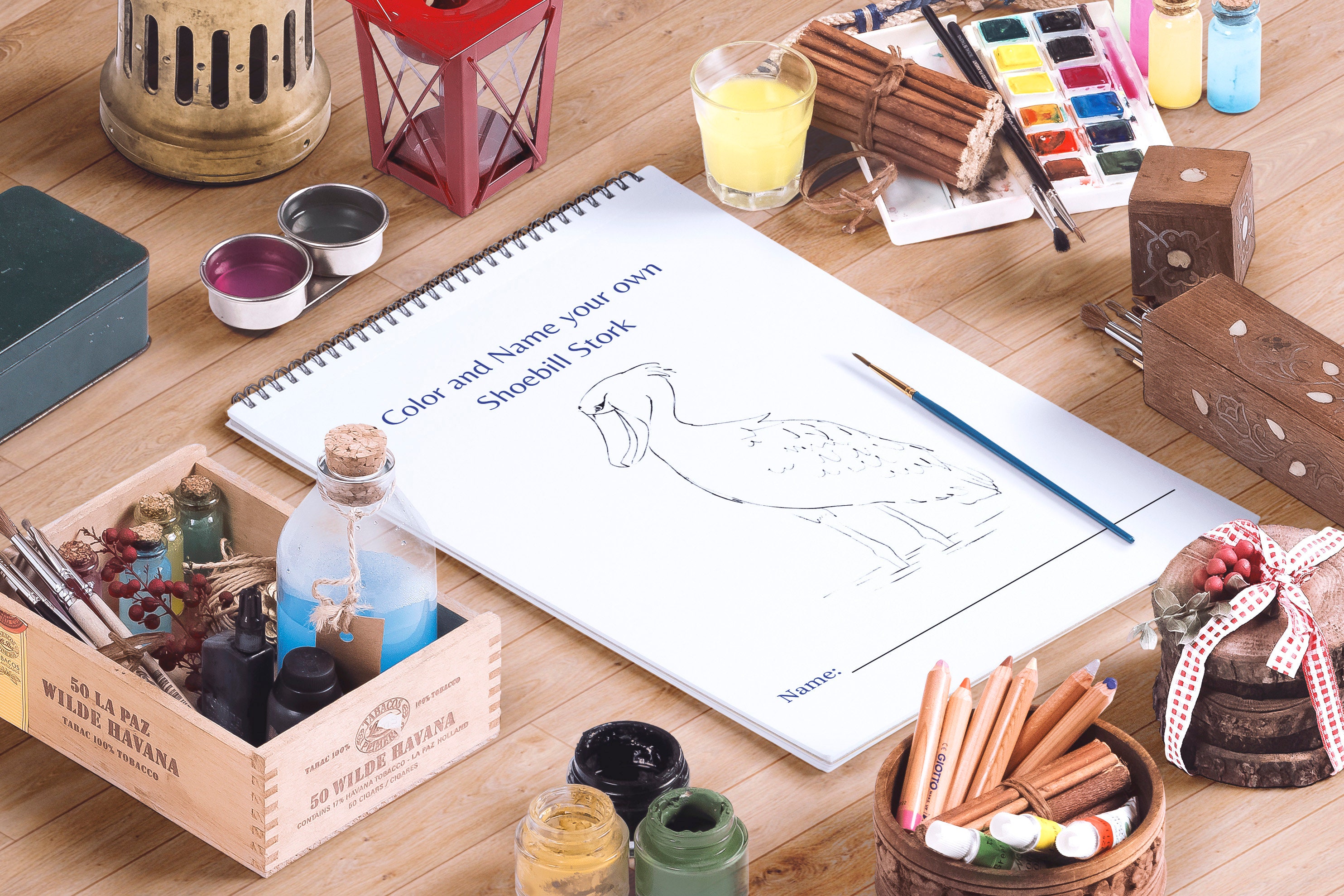 Shoebill Stork Study Printable - Homeschool Worksheets - Nature Study ...