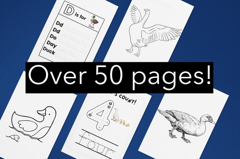 Homeschool Printable Activity Preschool Learning Lesson Coloring Book ...