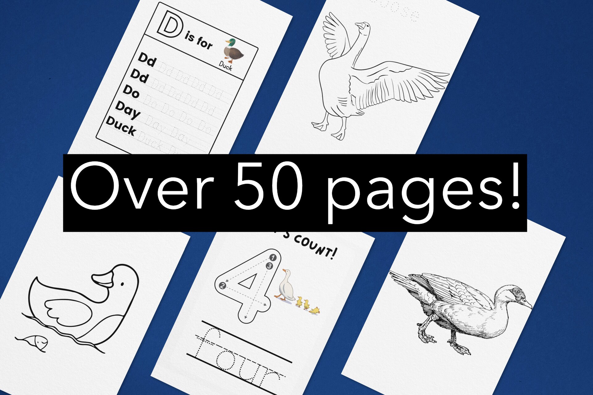 Homeschool Printable Activity Preschool Learning Lesson Coloring Book ...