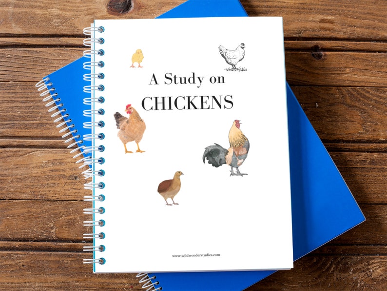 Printed Chicken Study - Homeschool Worksheets - Nature Study Charlotte ...