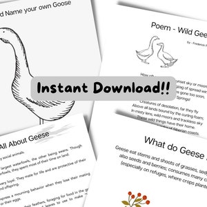 Goose Unit Study | Animal Study for Homeschool Curriculum | Education ...