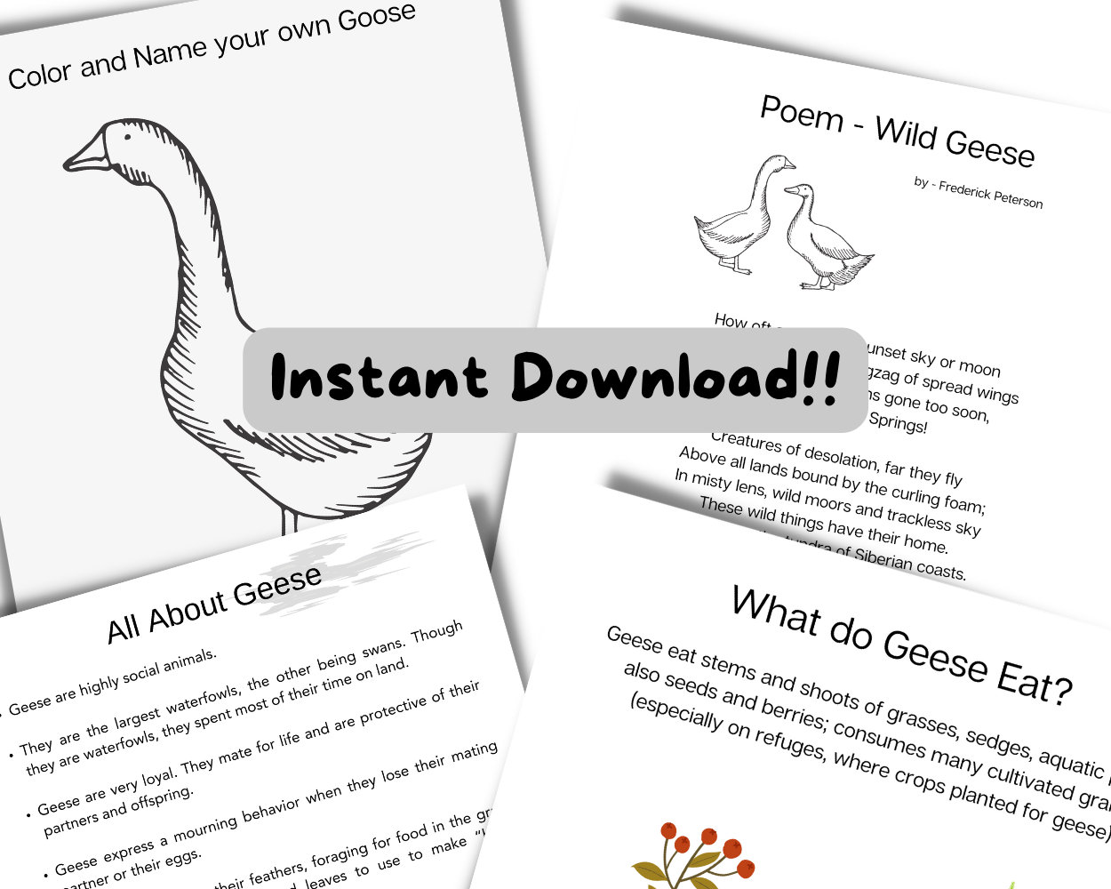 Goose Unit Study | Animal Study for Homeschool Curriculum | Education ...