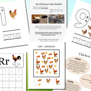 Chicken Study Printable Homeschool Worksheets Nature Study - Etsy