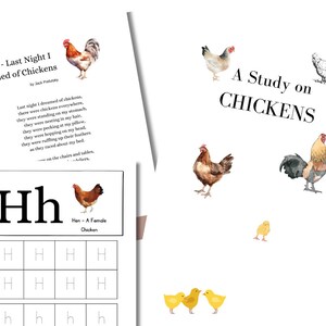 Chicken Study Printable - Homeschool Worksheets - Nature Study ...
