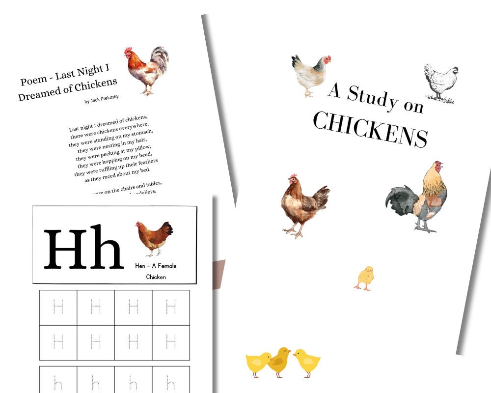 Chicken Study Printable - Homeschool Worksheets - Nature Study ...
