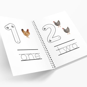 Chicken Study Printable Homeschool Worksheets Nature Study - Etsy