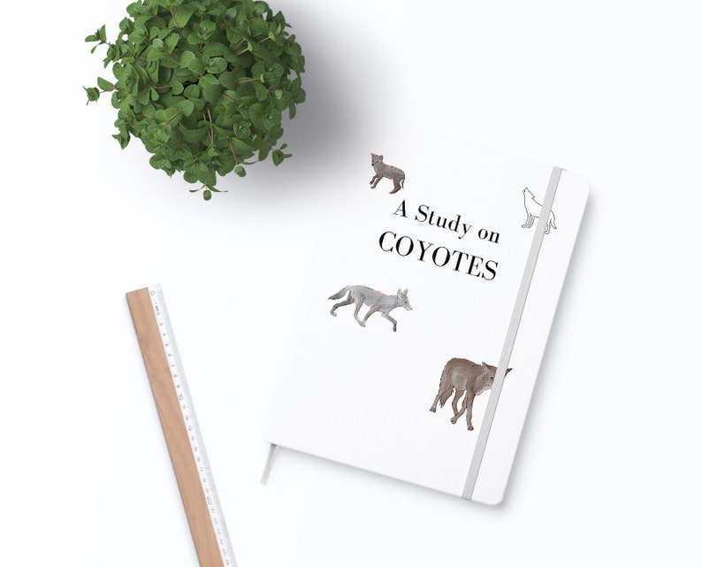 Animal Study Coyote Charlotte Mason | Homeschool Educational Worksheet ...