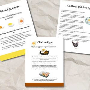 Chicken Study Printable - Homeschool Worksheets - Nature Study ...