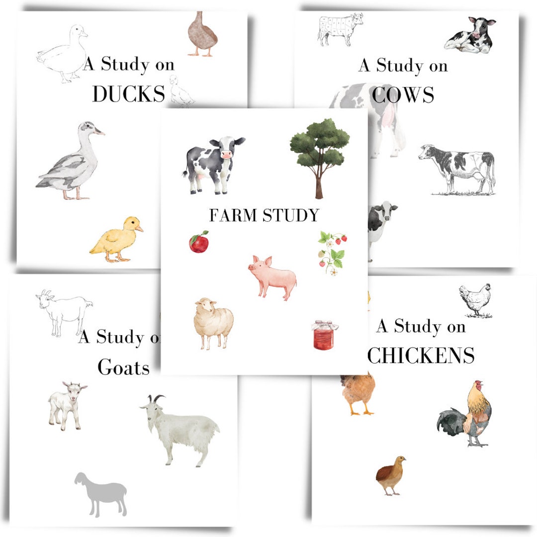 Animal Unit Study Mega Farm Bundle Unit Study Homeschool Chicken Study ...