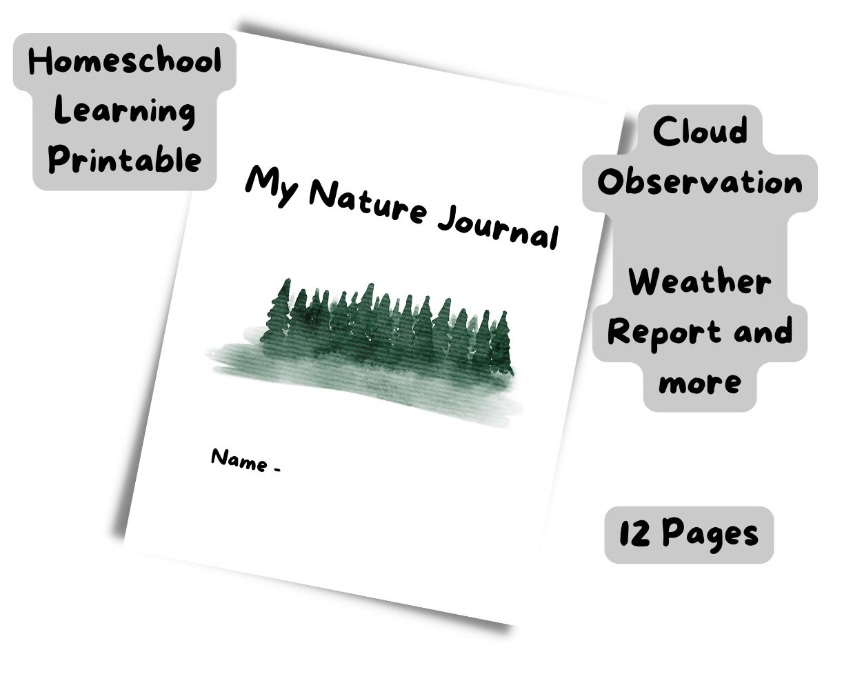 Charlotte Mason Nature Study Printable Homeschool Learning Materials ...