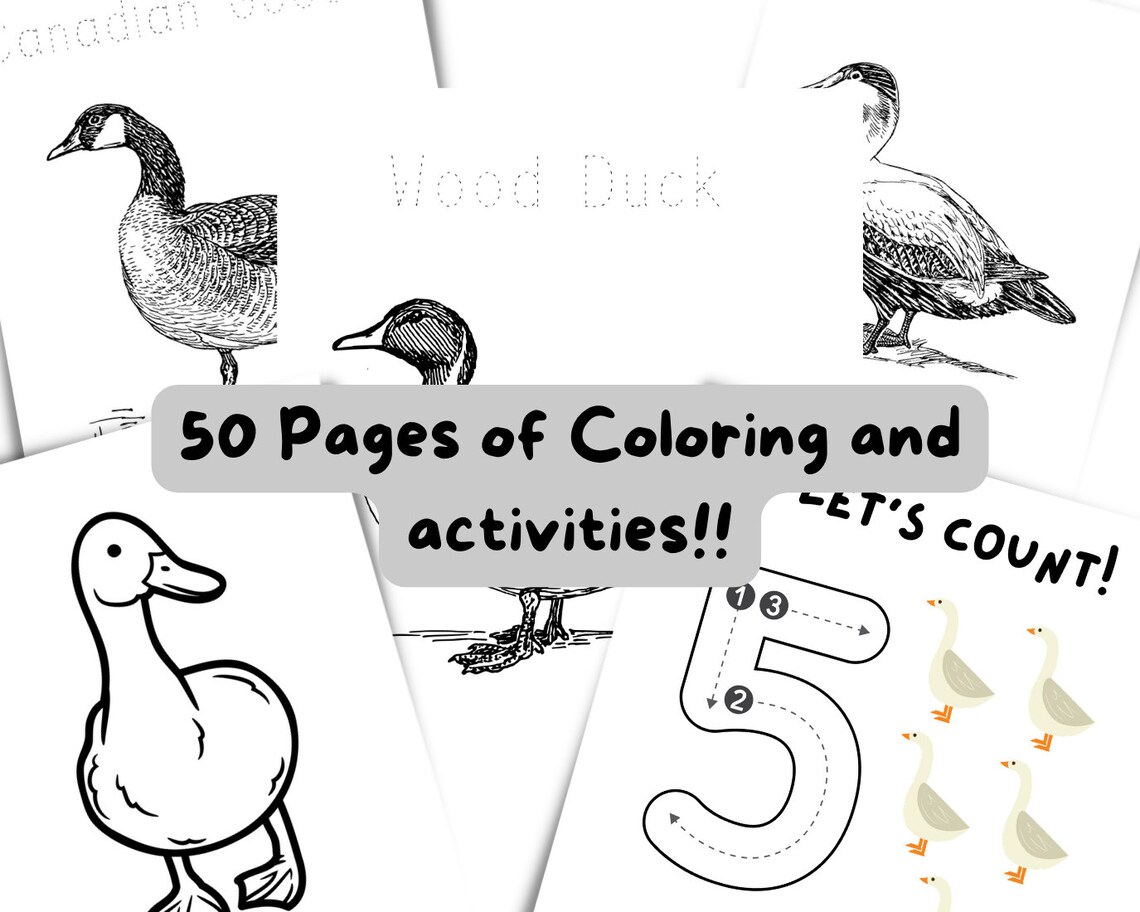 Homeschool Printable Activity Preschool Learning Lesson Coloring Book ...