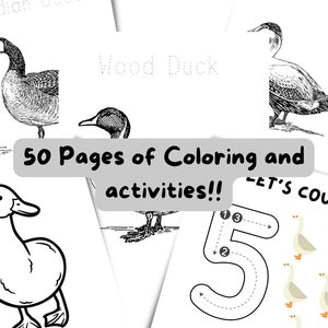 Homeschool Printable Activity | Preschool | Learning | Lesson ...
