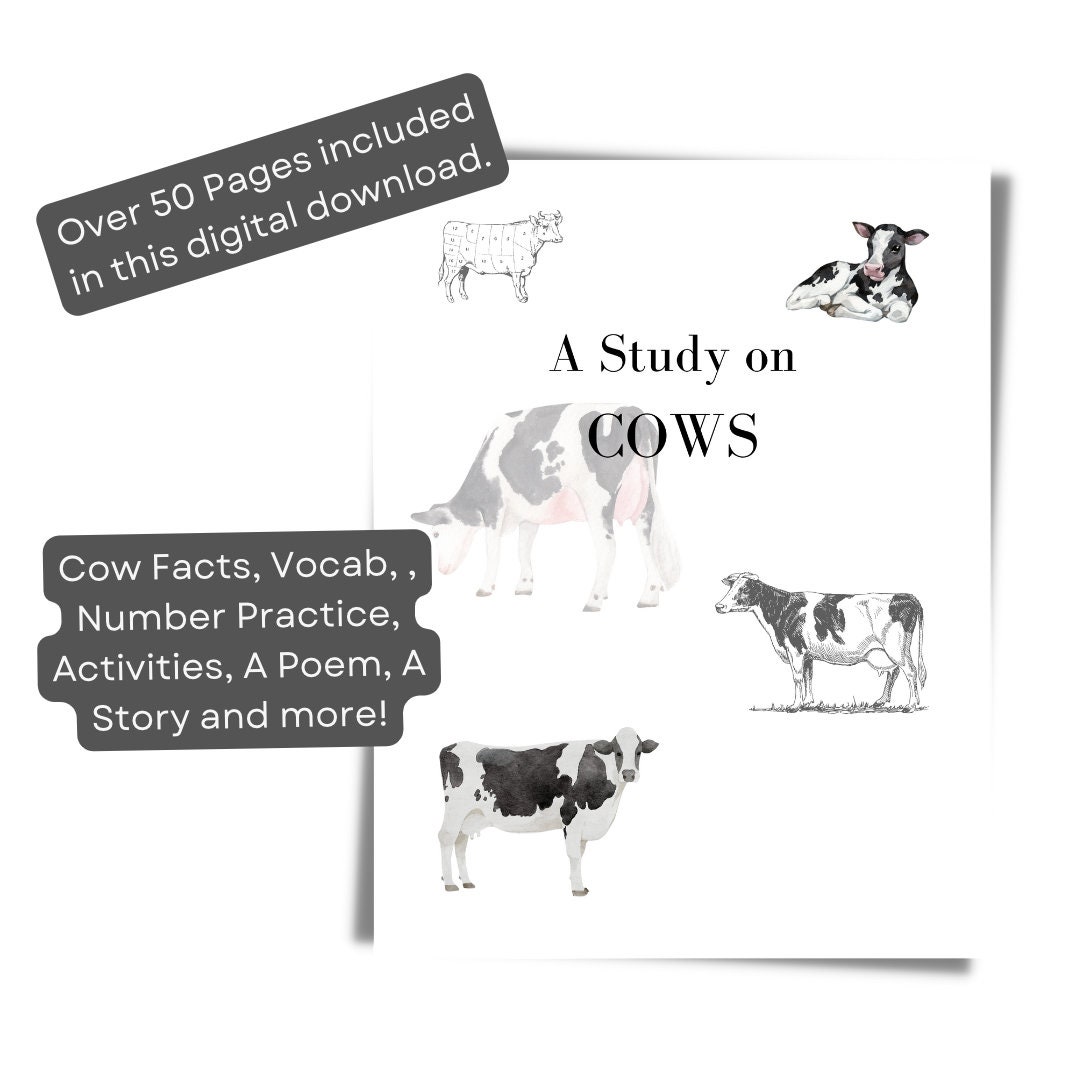 Cow Study Animal Science Study Homeschool Educational Resource ...