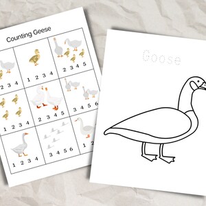 Goose Unit Study | Animal Study for Homeschool Curriculum | Education ...